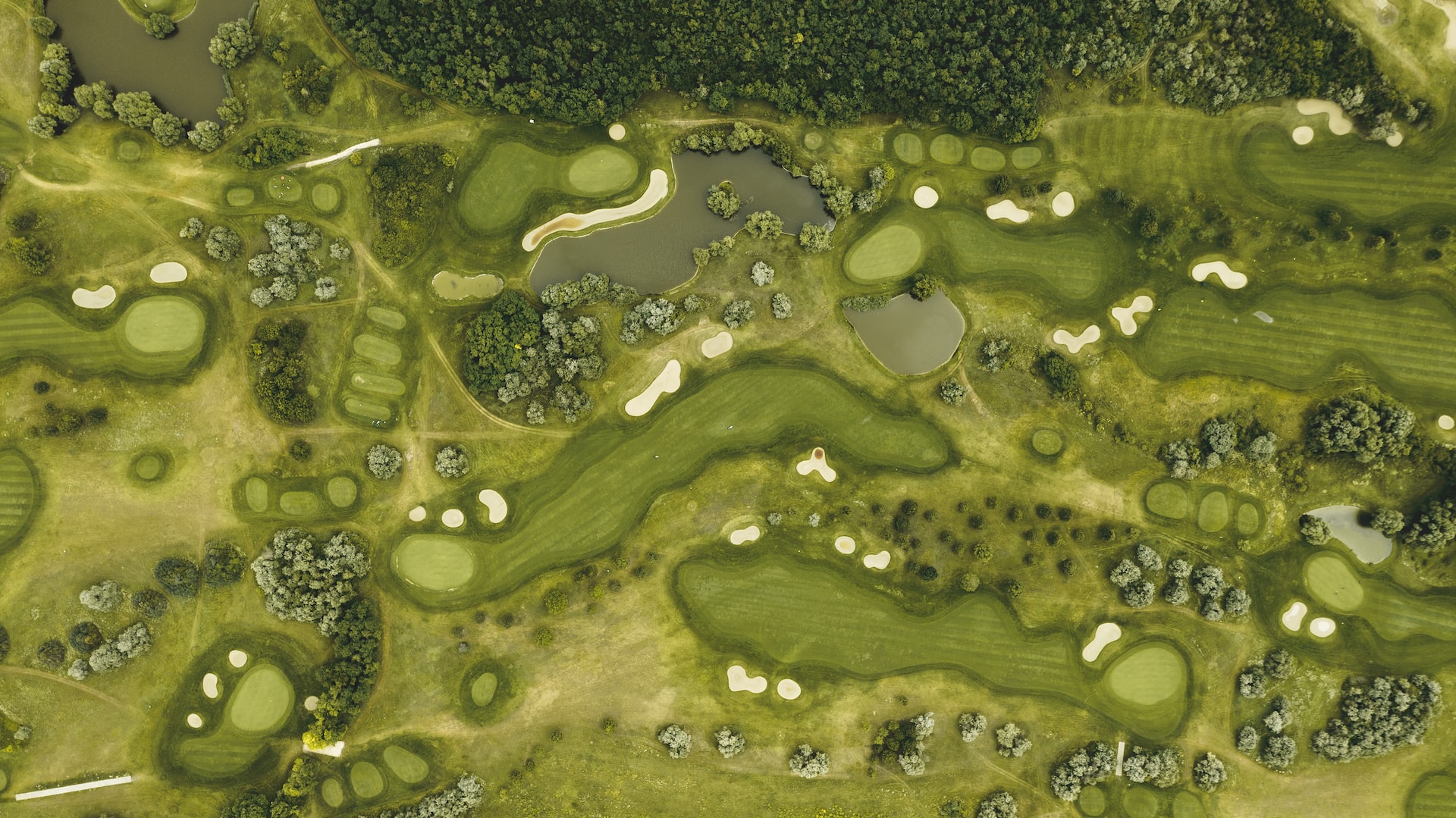 Jacaranda Country Club in Plantation, Florida : A Detailed Review