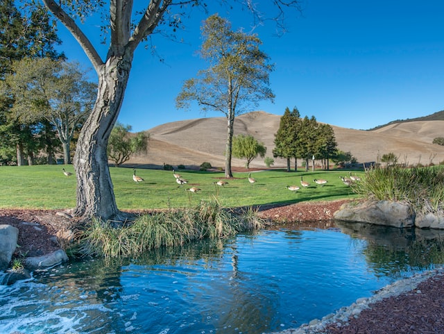 Jacaranda Country Club in Plantation, Florida : A Detailed Review
