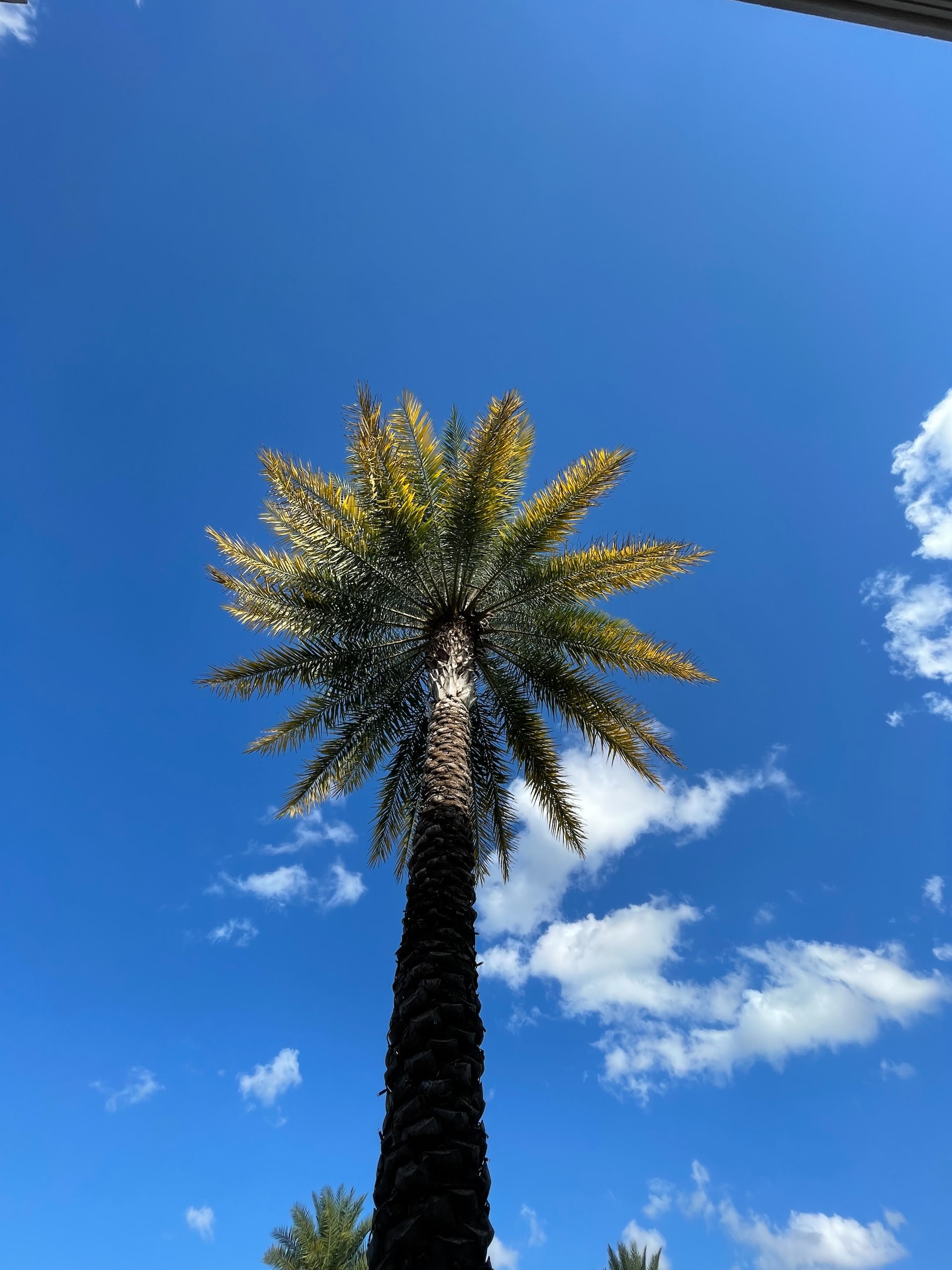 Exploring Pembroke Pines : The Complete Guide